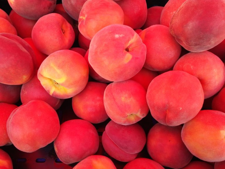 Bounty of the Bough: Summer Harvest Schedule - For The Love Of Trees ...