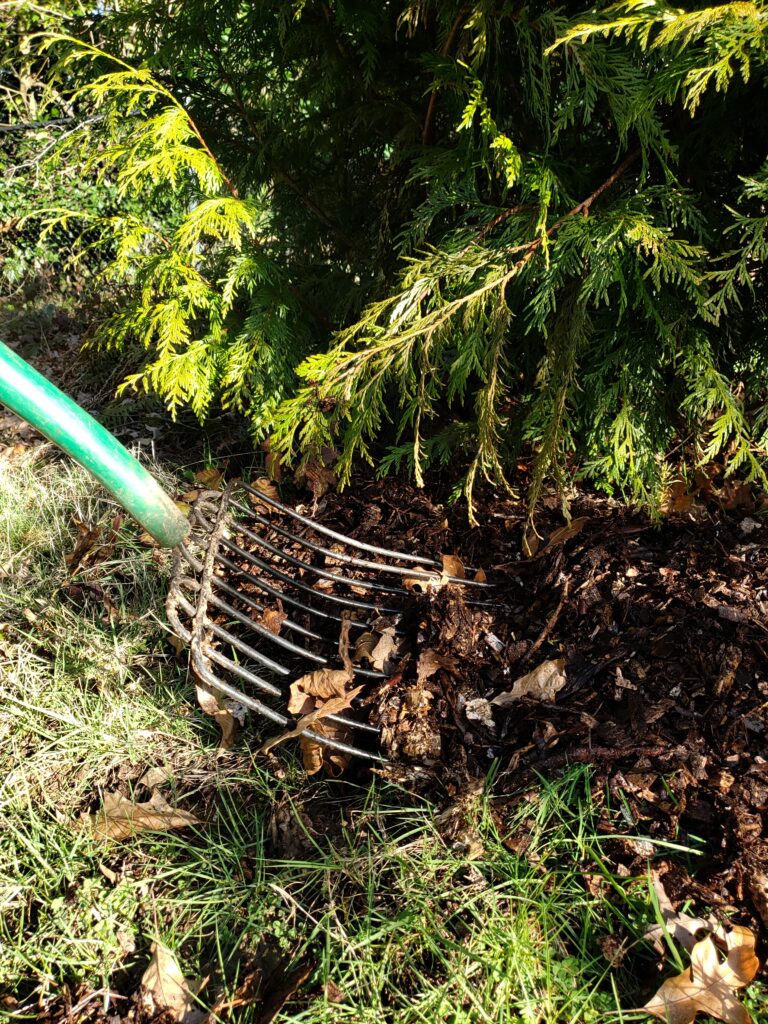 Arborist Advice: Mulch your trees - For The Love Of Trees, LLC : For ...